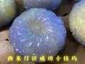 西米水晶月饼怎么做_为什么西米月饼透明