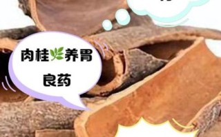 肉桂叶的功效与作用_肉桂叶能降血糖吗