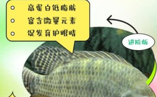 罗非鱼是不是很脏_罗非鱼到底脏不脏