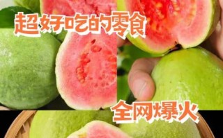 草莓丝瓜芭乐未满十八岁能吃吗_草莓丝瓜芭乐适合青少年吗