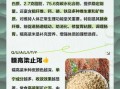 高粱米可以长期吃吗_长期吃高粱米的好处与风险