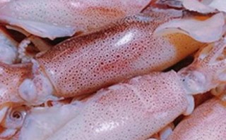 鱿鱼怎么清理干净_鱿鱼怎么处理干净