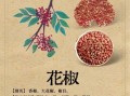 花椒的功效与作用_花椒怎么吃好