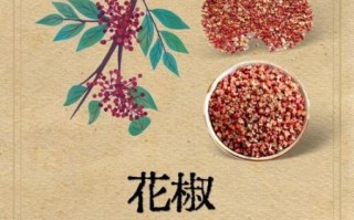 花椒的功效与作用_花椒怎么吃好