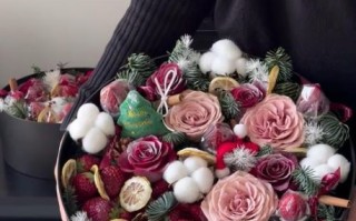 圣诞节送女朋友什么礼物好_女朋友圣诞礼物推荐