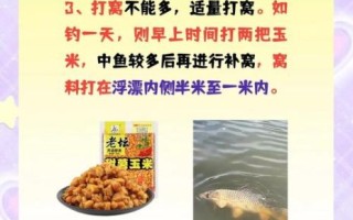钓鲤鱼用什么饵料最好_绝杀饵配方揭秘
