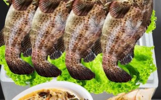 黑石斑鱼多少钱一斤_黑石斑鱼怎么做好吃