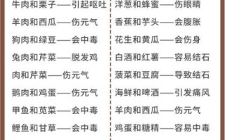 哪些食物不能一起吃_食物相克查询表