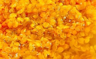 冰糖桂花蜜怎么做_冰糖桂花蜜的做法窍门