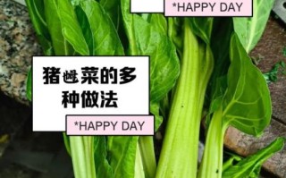 猪乸菜的功效与禁忌_孕妇能吃吗