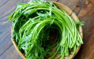 茼蒿图片怎么拍_茼蒿高清图哪里找
