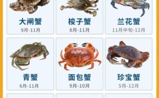 面包蟹和帝王蟹哪个好吃_口感区别与选购技巧