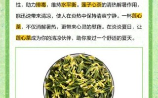 莲子心茶的功效与作用_莲子心茶怎么喝不上火