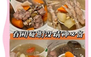 广东四味汤的做法_广东四味汤有什么功效