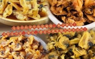 蛤蜊干的功效与作用_蛤蜊干怎么吃最补肾