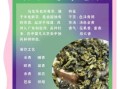 乌龙茶的功效与禁忌_哪些人不能喝