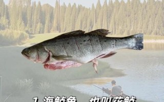 鲈形目鱼类大全_常见品种有哪些