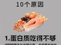 蛋白质减肥法怎么吃_蛋白质减肥会反弹吗