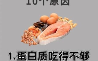蛋白质减肥法怎么吃_蛋白质减肥会反弹吗