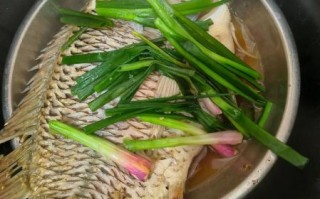 水煮清江鱼怎么做_水煮清江鱼最正宗的做法