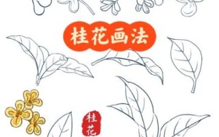 桂花简笔画怎么画_桂花图片简笔画教程