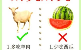 立冬南方吃什么传统食物_立冬南方进补食谱