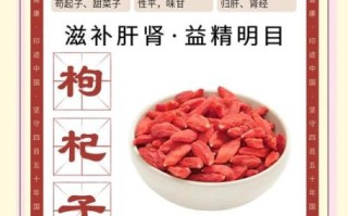 枸杞子能补肾吗_枸杞子怎么吃效果最好