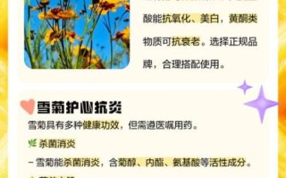 雪菊的功效与作用_雪菊的正确吃法