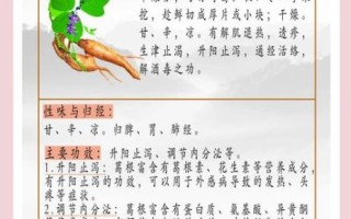 葛根的作用是什么_葛根的功效与禁忌
