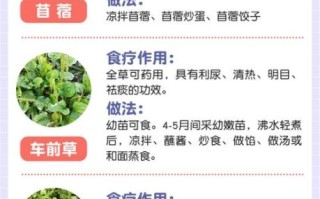 野菜有哪些_野菜的功效与作用