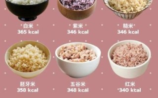 米饭的热量是多少千焦_一碗米饭多少千焦