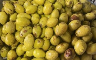 糖醋橄榄怎么做_糖醋橄榄要泡多久