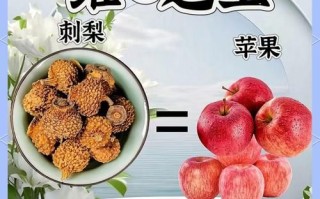 野刺梨长什么样_野刺梨的功效与作用