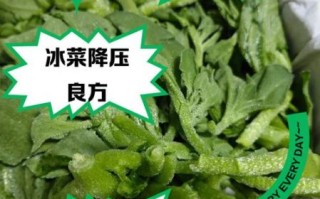 冰菜的功效与作用_冰菜怎么吃最好