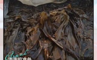 海带怎么洗干净_海带清洗的正确方法