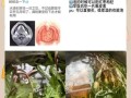 蒲公英治咽炎真的有用吗_慢性咽炎喝多久见效