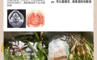 蒲公英治咽炎真的有用吗_慢性咽炎喝多久见效