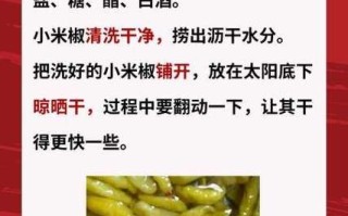 家庭泡椒怎么腌制_泡椒水能重复用吗