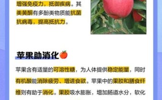 每天吃苹果有什么好处_苹果一天吃几个最好