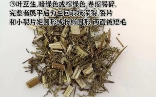 阴虚火旺怎么调理最快_阴虚火旺吃什么药