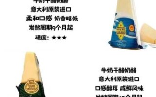 原味奶酪怎么吃好吃_原味奶酪怎么吃才香