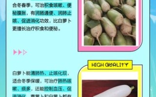 青萝卜和白萝卜的区别_哪个更适合炖汤