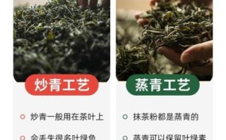 绿茶粉的功效与作用_绿茶粉怎么喝减肥