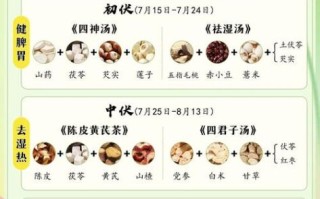 三伏天喝什么茶祛湿_三伏天养生茶配方推荐