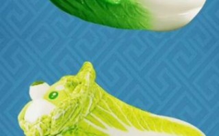 大白菜官网哪个是真的_如何辨别真假大白菜官网