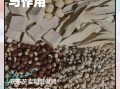 芡实茯苓的功效与作用_芡实茯苓怎么吃才祛湿健脾