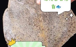 多宝鱼小孩为什么不能多吃_多宝鱼适合孩子吃吗