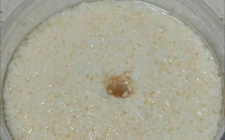 自酿糯米甜酒的做法窍门_为什么糯米甜酒发酸