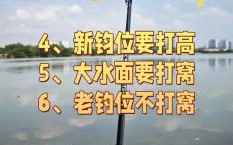 钓鱼技巧视频_新手如何快速上鱼