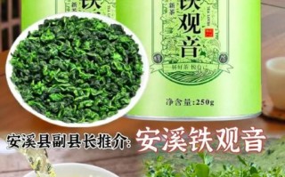 铁观音属于什么茶型_铁观音是绿茶还是乌龙茶